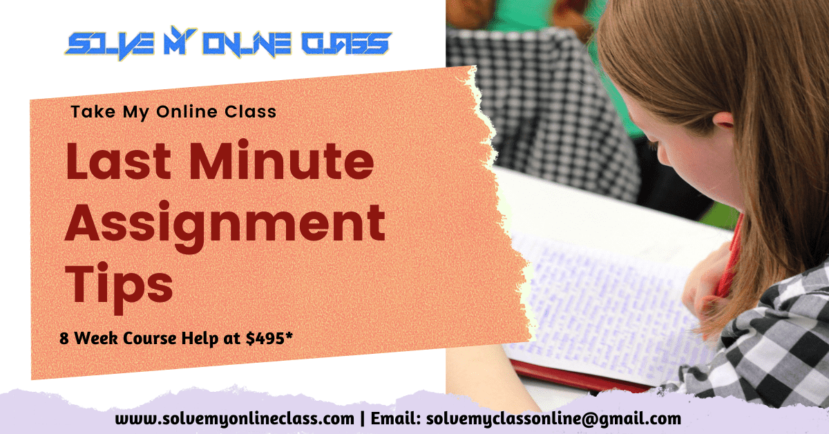 Last Minute Assignment Tips: Expert Guidance By Solve My Online Class